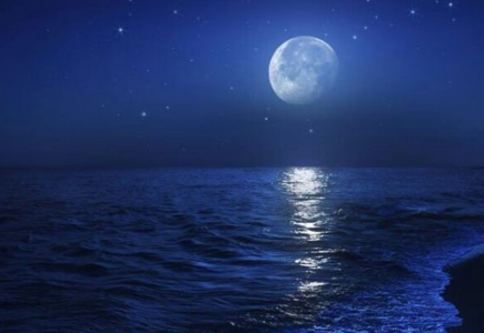 Rafia Shakeel – The journeys- long forsaken, The Dreams- Deep seated ...