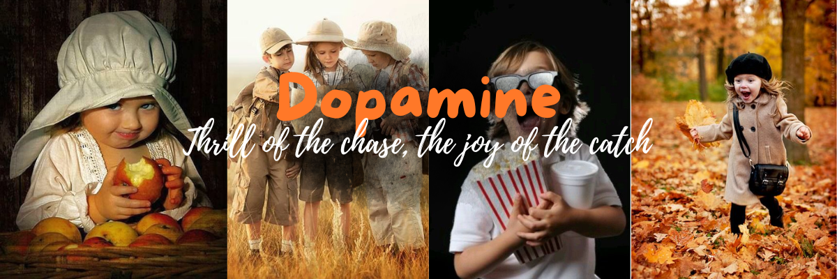 The Chemistry of Happiness: Understanding the Brain (part # 2) – Rafia ...